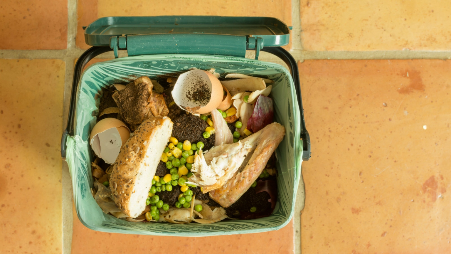 Do’s and Don'ts: Using Finished Compost on your Houseplants - Compost ...