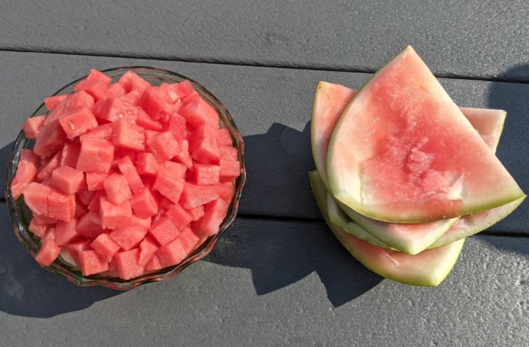 Watermelon Rinds: The Great Summer Dilemma - Compost Crew - good to grow
